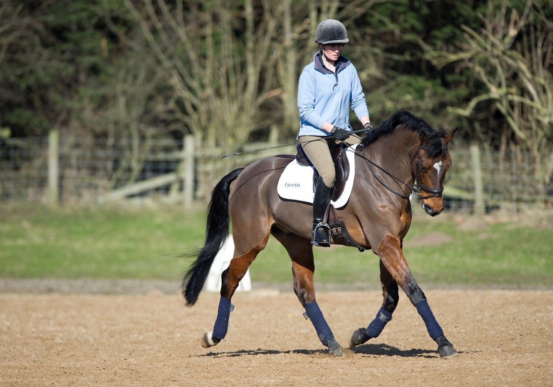 British Eventing Life | What surface should you train on for eventing?