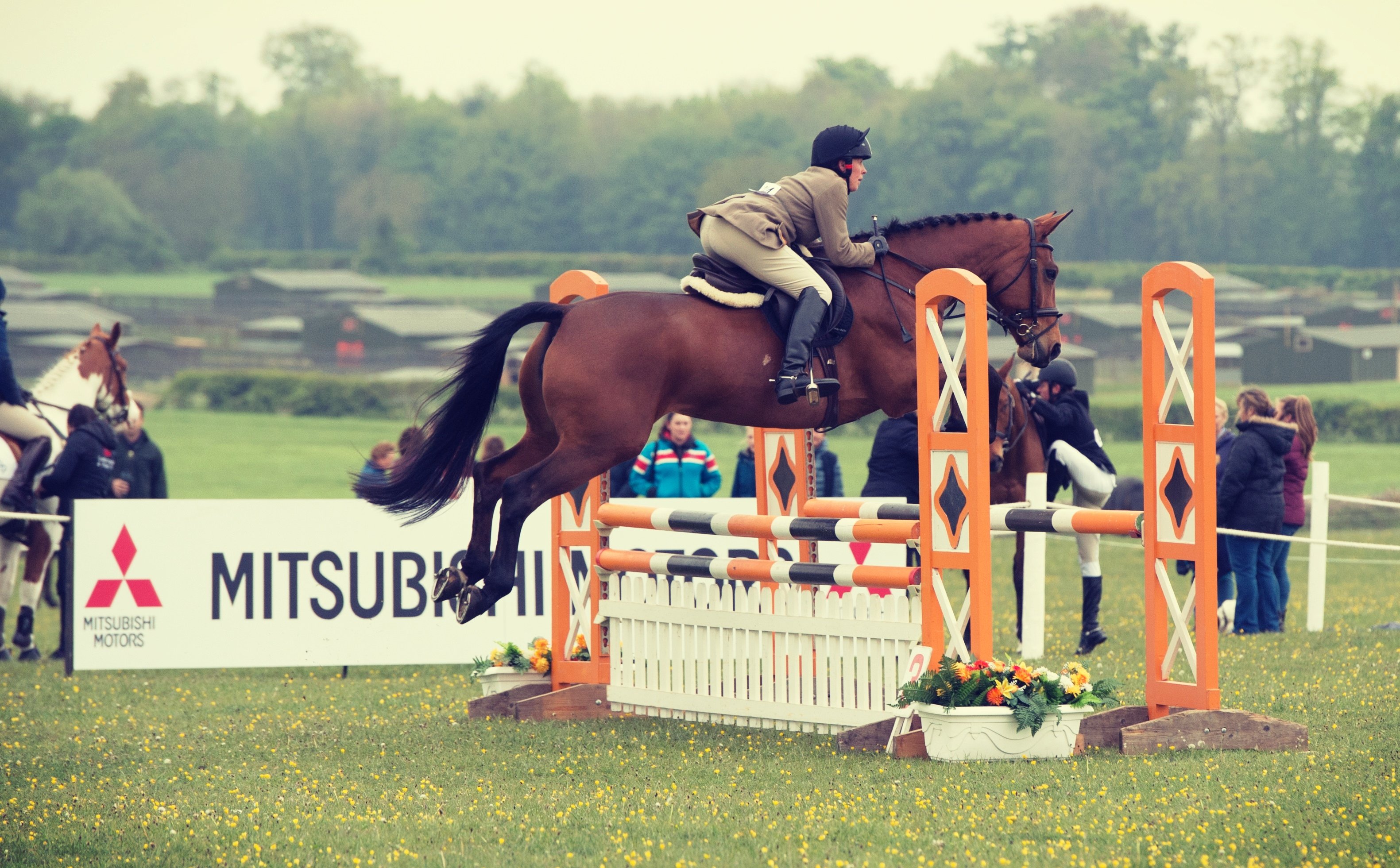 British Eventing Life | How to get a clear show jumping round